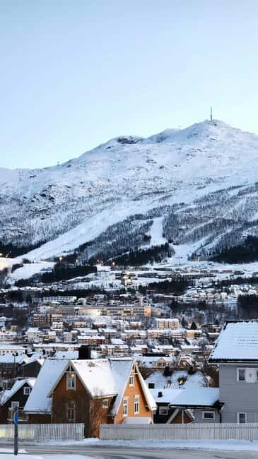 From Abisko: Narvik City and Fjord Day Trip - Key Points