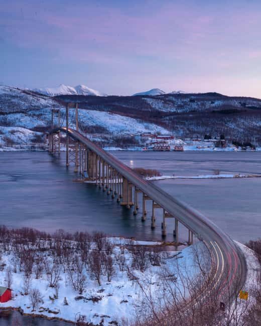From Abisko: Narvik City and Fjord Day Trip - Food and Free Time in Narvik