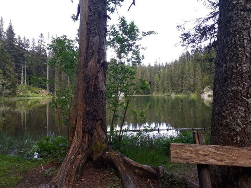 From abljak: Durmitor National Park Private Hiking Tour - Introduction: What This Tour Brings to Your Montenegro Trip