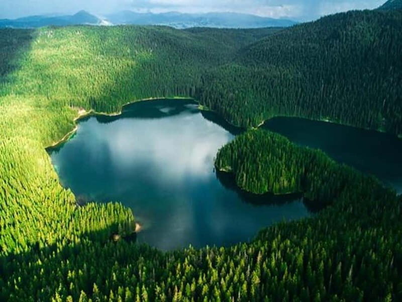 From abljak: Durmitor National Park Private Hiking Tour - The Sum Up: A Perfect Half-Day Escape into Nature