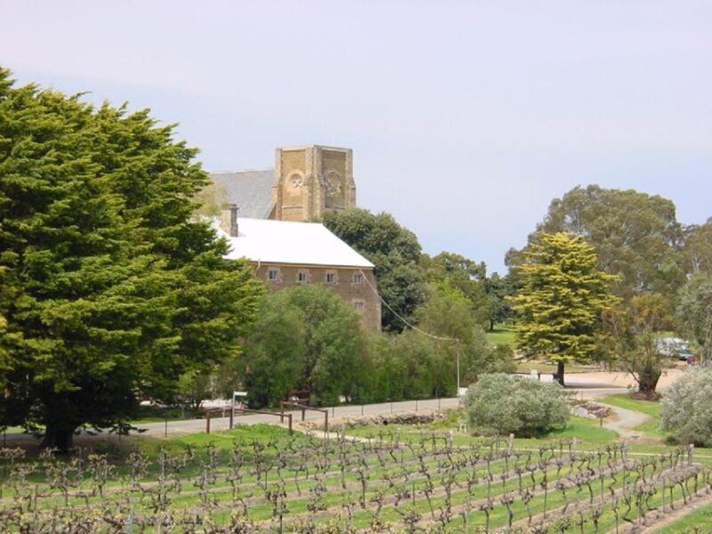 From Adelaide: Clare Valley Winery Tour - Potential Drawbacks or Considerations
