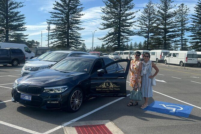 From Adelaide Cruise Ship to McLaren Vale and Historic Hahndorf - Discovering the Day: Step-by-Step Breakdown