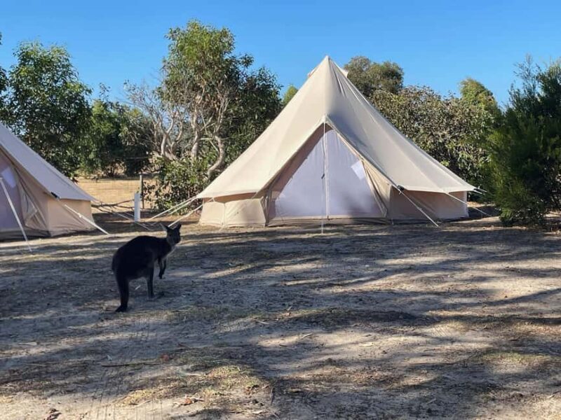 From Adelaide: Kangaroo Island Epic 2-Day Small Group Tour - FAQs