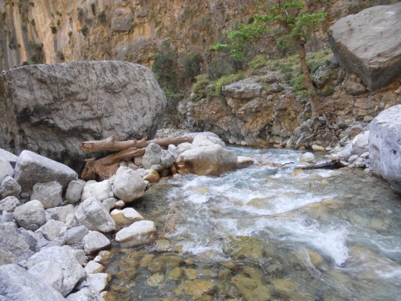 From Agia Galini/Matala: Samaria Gorge Hiking Tour - Who Will Love This Tour?