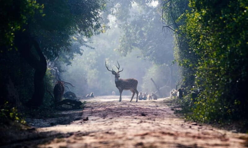 From Agra: Taj Mahal, Fatehpur Sikri & Bird Safari Tour - Key Points