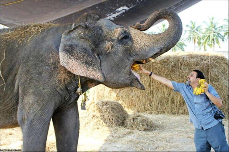 From Agra: Taj Mahal Sunrise & Elephant SoS Center Day Trip - Final Thoughts