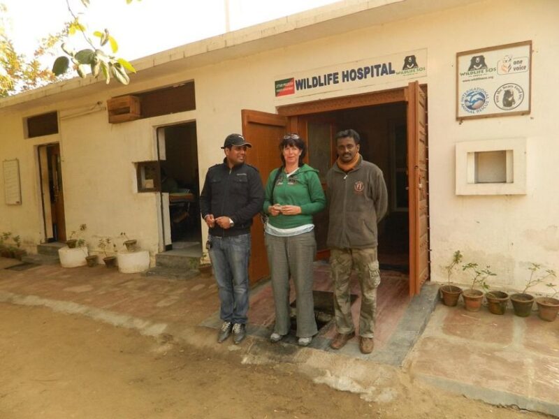 From Agra: Visit to Wildlife SOS Elephant Conservation Trip - FAQs