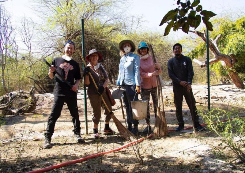 From Agra: Visit to Wildlife SOS Elephant Conservation Trip - In The Sum Up