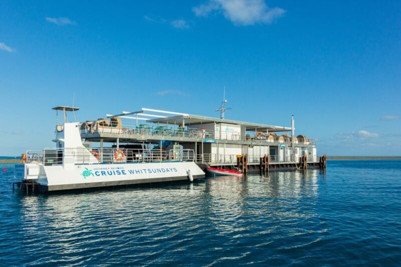 From Airlie Beach: Great Barrier Reef Pontoon Experience - Technical Details and Practical Tips