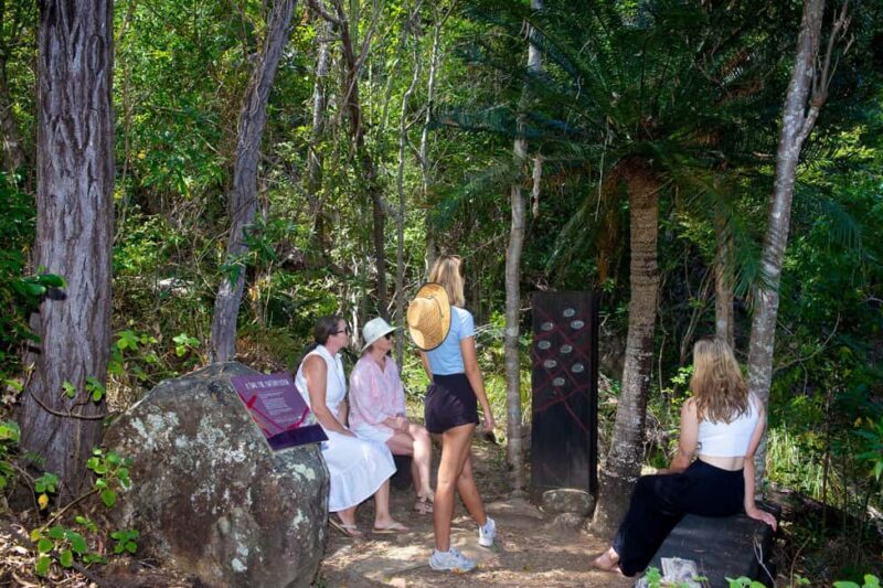 From Airlie Beach: Hook Island Cultural Tour, Sail & Snorkel - Authentic Experience for the Discerning Traveler