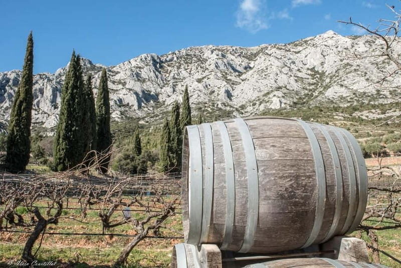 From Aix-en-Provence: 2-Hour Wine & Scenery Sidecar Tour - Key Points