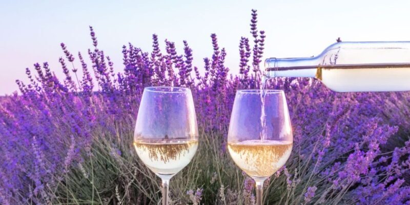 From Aix-en-Provence: Châteauneuf du Pape Wineries Day Trip - The Itinerary Breakdown