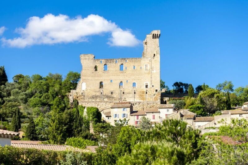 From Aix-en-Provence: Châteauneuf du Pape Wineries Day Trip - Who Will Love This Tour?