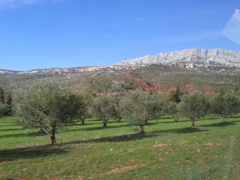From Aix-en-Provence: Half-day Wine Tour Cezanne Countryside - An In-depth Look at the Experience