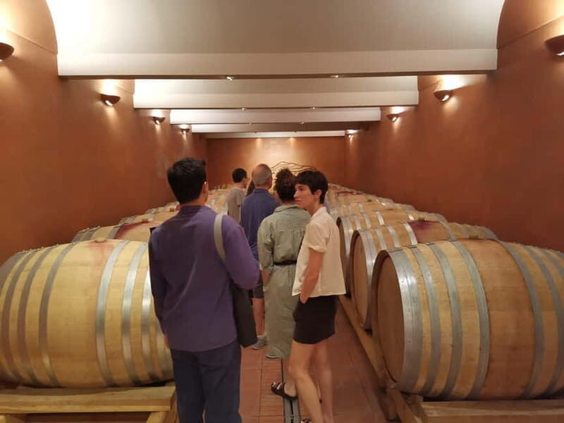 From Aix en Provence: Half-day Wine Tour in Provence - Introduction: A Tasty Slice of Provence