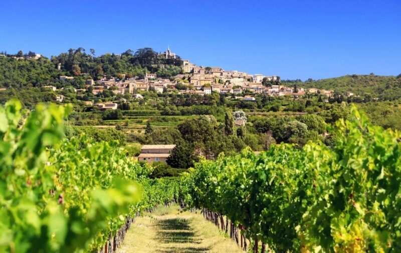 From Aix-en-Provence: Half-Day Wine Tour - Why This Tour Is a Good Choice