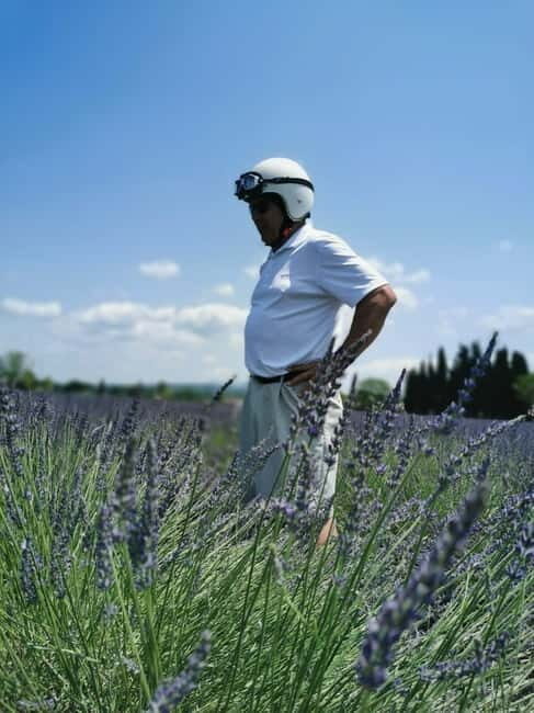 From Aix-en-Provence : Lavender & Wine Sidecar Tour - An Introduction to the Provence Lavender & Wine Sidecar Tour