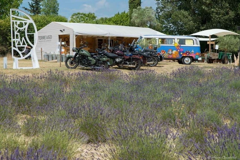 From Aix-en-Provence : Lavender & Wine Sidecar Tour - The Value of This Experience