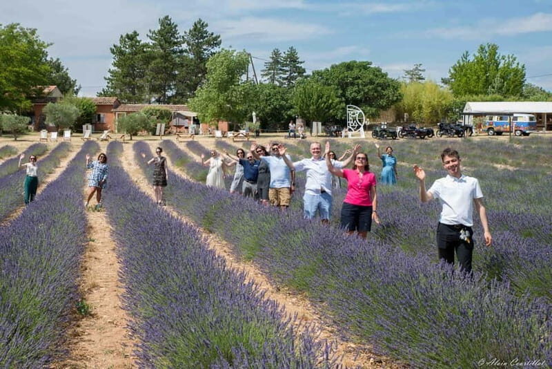 From Aix-en-Provence : Lavender & Wine Sidecar Tour - The Sum Up