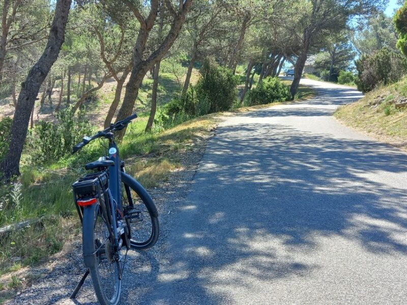 From Aix-en-Provence: Luberon Region E-Bike Full-Day tour - What the Tour Does Well