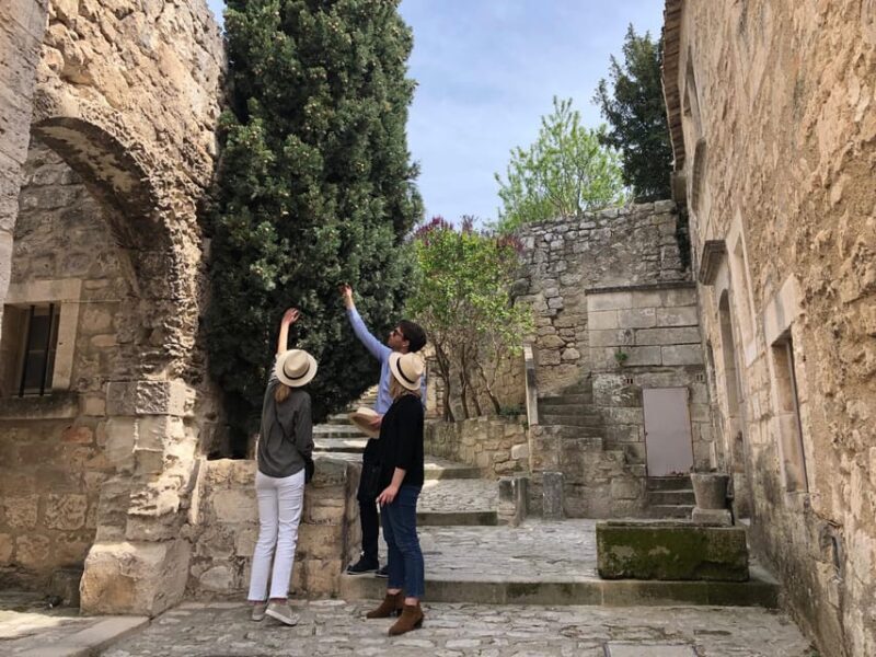 From Aix-en-Provence: Provence Region Tour with Wine Tasting - Who Is This Tour Best For?