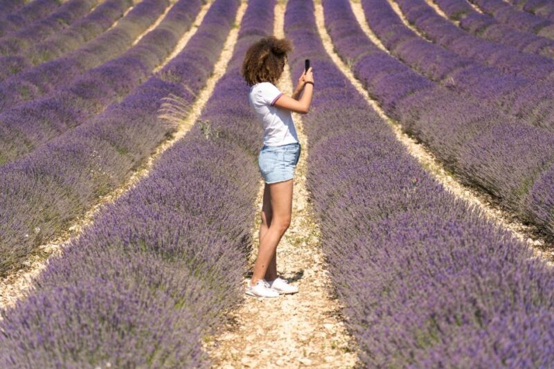 From Aix-en-Provence: Sault Lavender & Gordes Full-Day Tour - Key Points