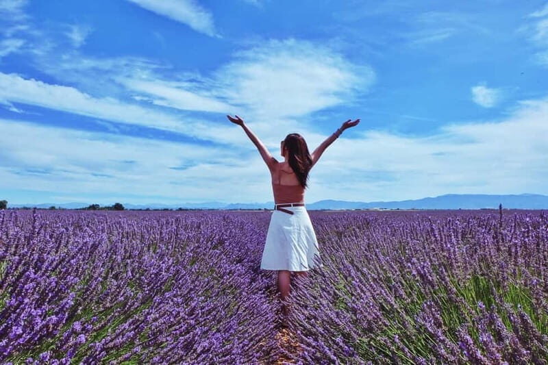 From Aix-en-Provence : Sunset Lavender Tour in Valensole - What to Expect on the Tour