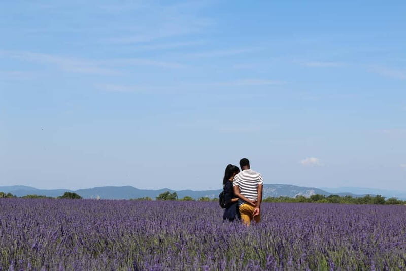 From Aix-en-Provence : Sunset Lavender Tour in Valensole - Final Thoughts