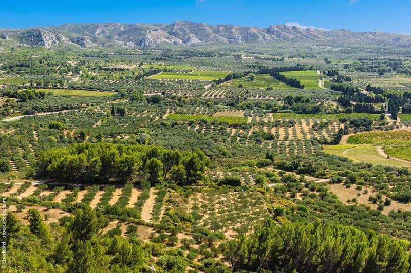 From Aix-en-Provence : Wine, Olive Oil and Scenic Villages - What to Expect on This Provence Day Trip