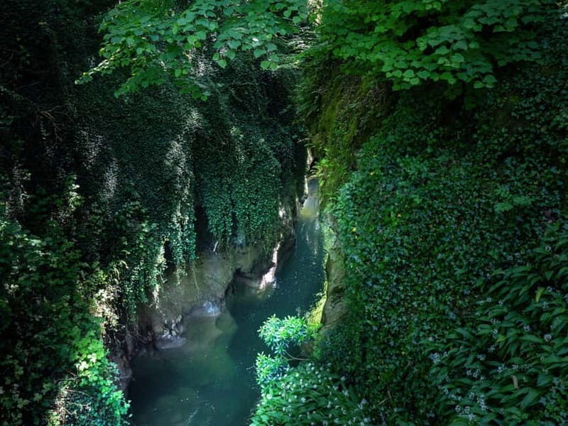 From Aix-les-Bains: Gorges du Sierroz and Mont Revard summit - What to Expect on the Tour