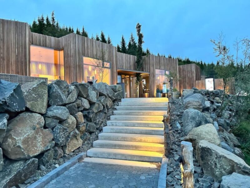 From Akureyri: Goðafoss Waterfall and Forest Lagoon Tour - An In-Depth Look at the Tour Experience