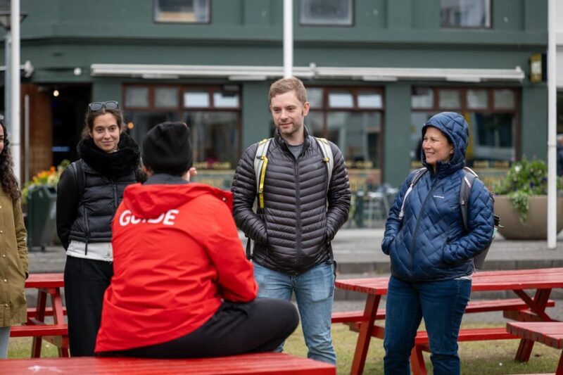 From Akureyri Port: City Walk & Local Food - Key Points