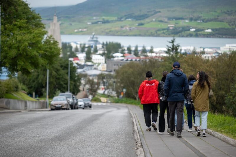 From Akureyri Port: City Walk & Local Food - The Sum Up