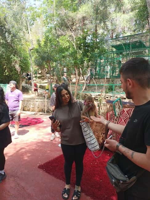 From Alanya: Lion Safari & Green Canyon Splash Feast w/Lunch - Key Points