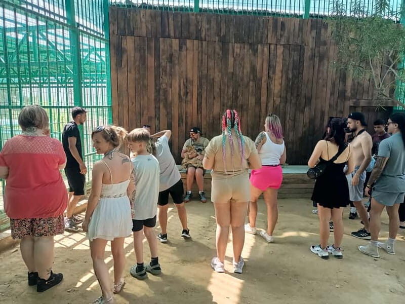 From Alanya: Lion Safari & Green Canyon Splash Feast w/Lunch - FAQ