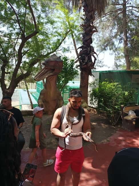 From Alanya: Lion Safari & Green Canyon Splash Feast w/Lunch - The Sum Up