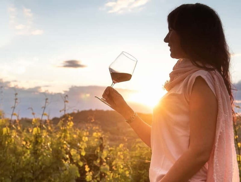 From Alba: Barolo & Barbaresco Wine Tasting Tour - The Wineries