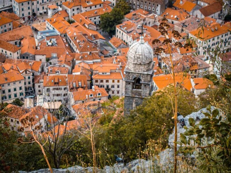 From Albania: Day Tour of Montenegro Budva & Sveti Stefan - Who Is This Tour Best Suited For?