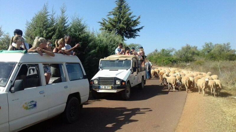 From Albufeira: 4x4 Off-Road Safari & Vineyard Wine Tasting - Final Thoughts