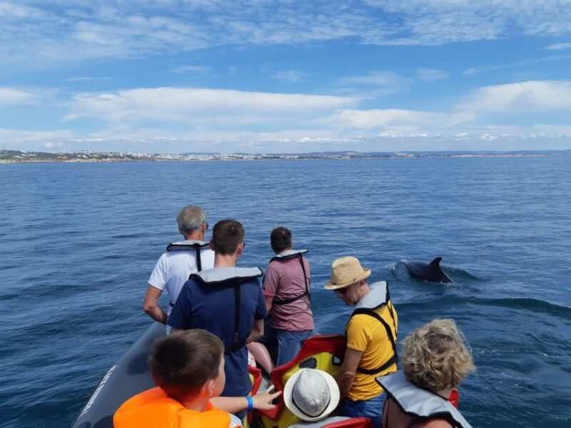 From Albufeira: Benagil Caves and Dolphins Guided Boat Tour - Practical Tips for Booking