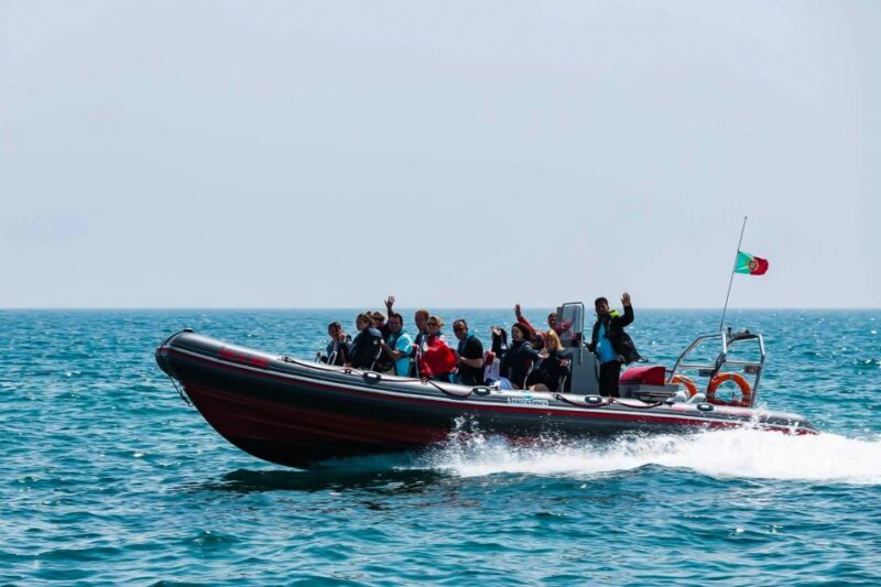 From Albufeira: Benagil Caves Excursion by Boat Private - Who Is This Tour Perfect For?