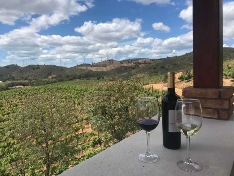 From Albufeira: Full-Day Wine Tasting Tour with a Guide - FAQ