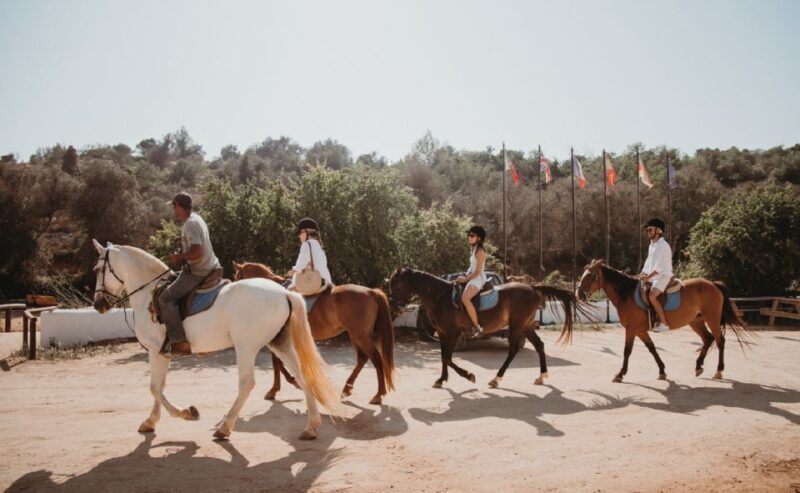 From Albufeira: Half-Day Hidden Gems & Horse Riding Tour - Final Thoughts