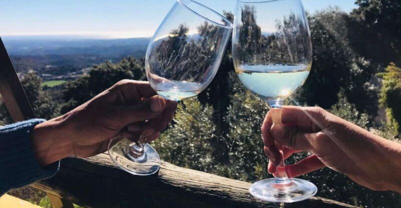 From Albufeira: Half-Day Winery Tour and Silves - A Personalized Wine Experience in the Algarve