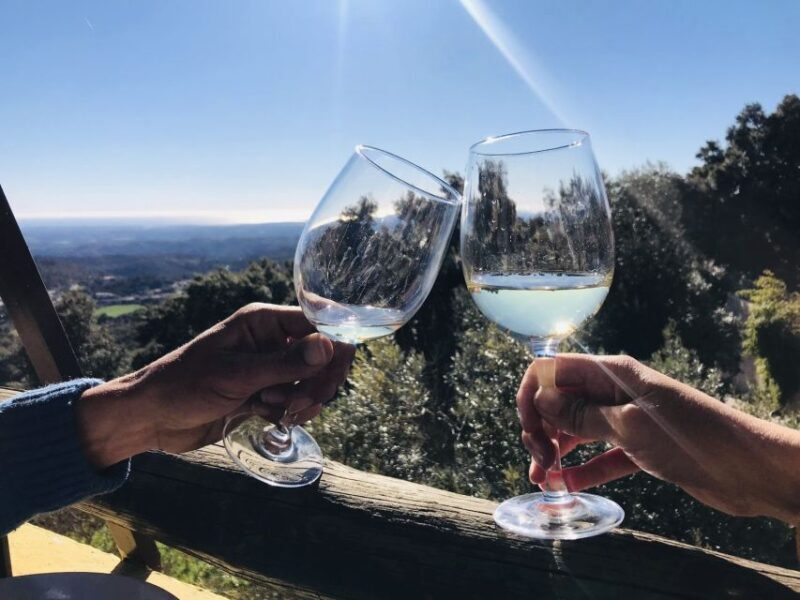 From Albufeira: Half-Day Winery Tour and Silves - The Itinerary: What’s Included and How It Works