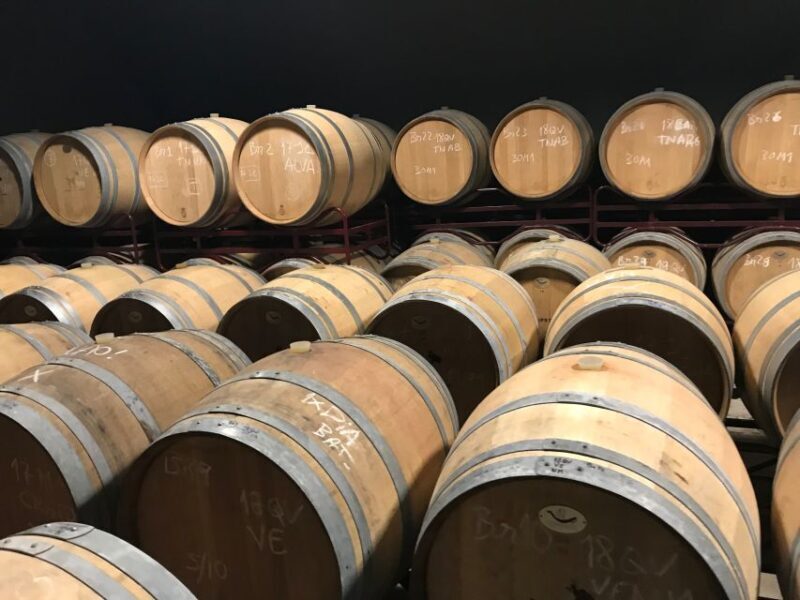 From Albufeira: Half-Day Winery Tour and Silves - Why the Price Offers Good Value