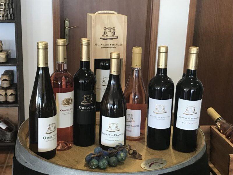 From Albufeira: Half-Day Winery Tour and Silves - What Travelers Say