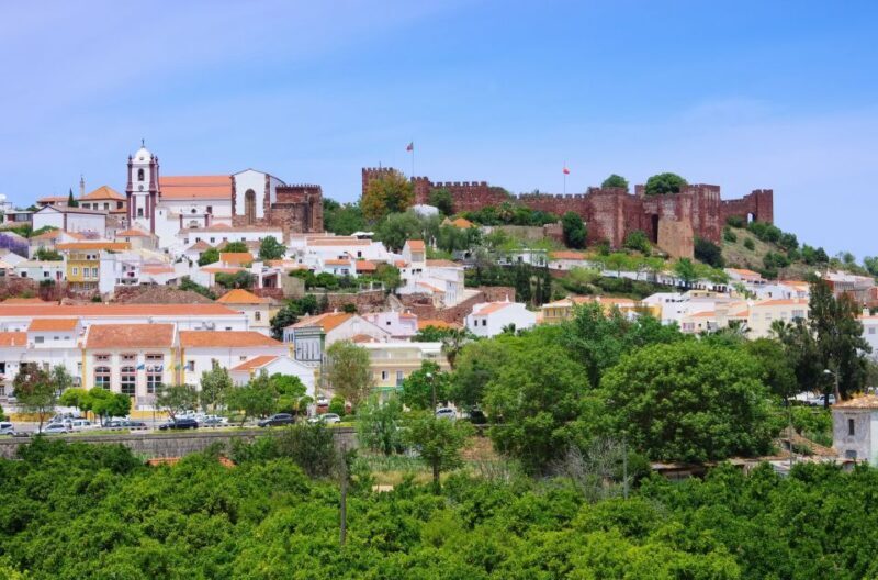 From Albufeira: Half-Day Winery Tour and Silves - Who Should Book This Tour?