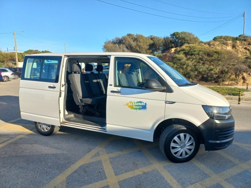 From Albufeira: Historical Algarve Region Tour - Practical Tips and What to Expect