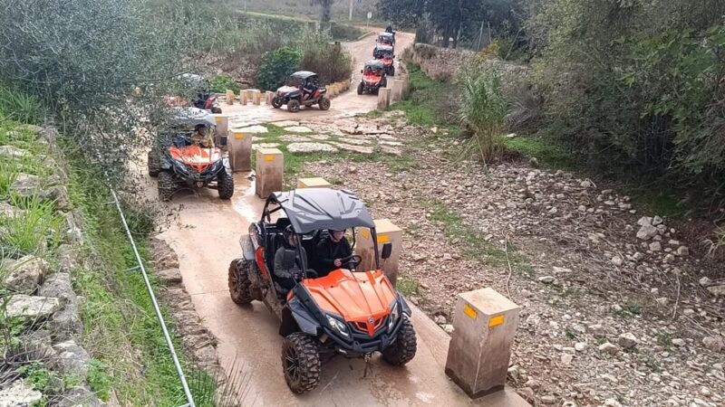 From Albufeira: Paderne Adventure Buggy Ride - Key Points